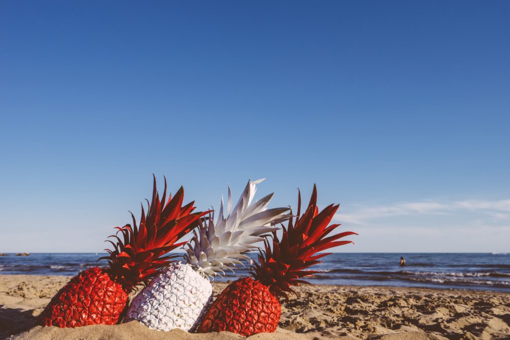 Discover Memorial Day Events South Haven has to Offer | Beachwalk ...